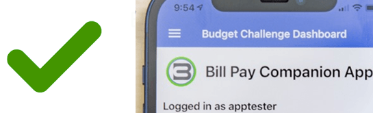 Budget Challenge > Learn More